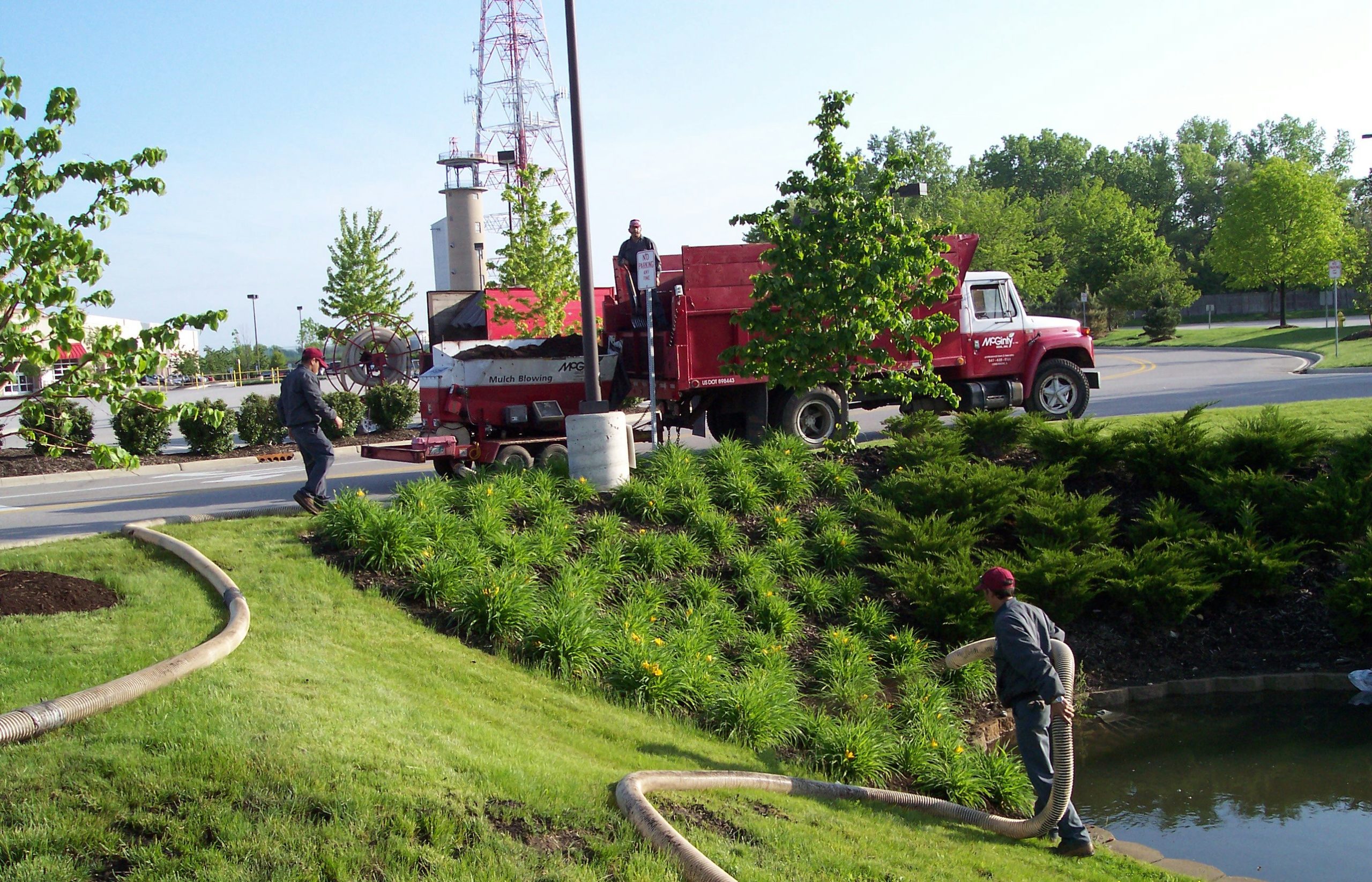 Bring Out Your Best Lawn in Long Grove, IL with Chinch Bug & Grub ...